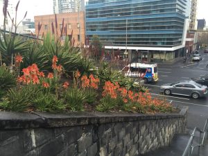 Gemini PBR - Aloe Aloe