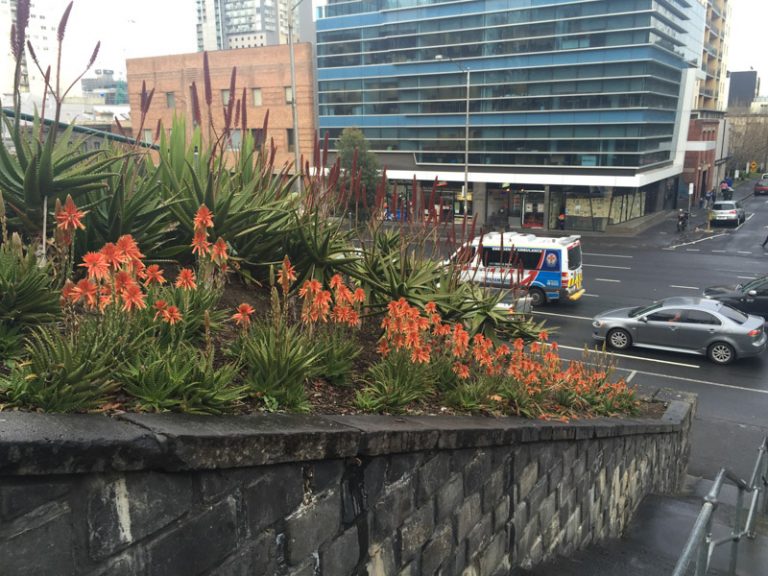 Gemini PBR - Aloe Aloe