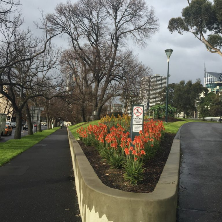 Gemini PBR - Aloe Aloe
